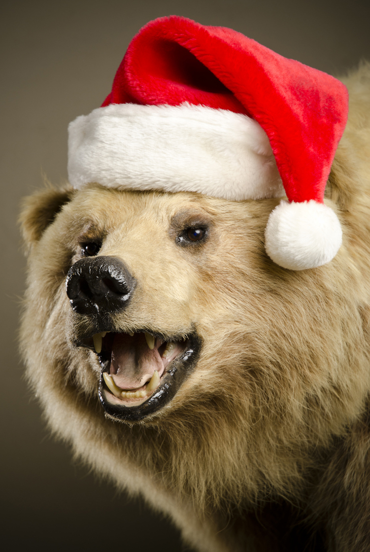Chestnut - The North Pole Handyman - Santa Paul