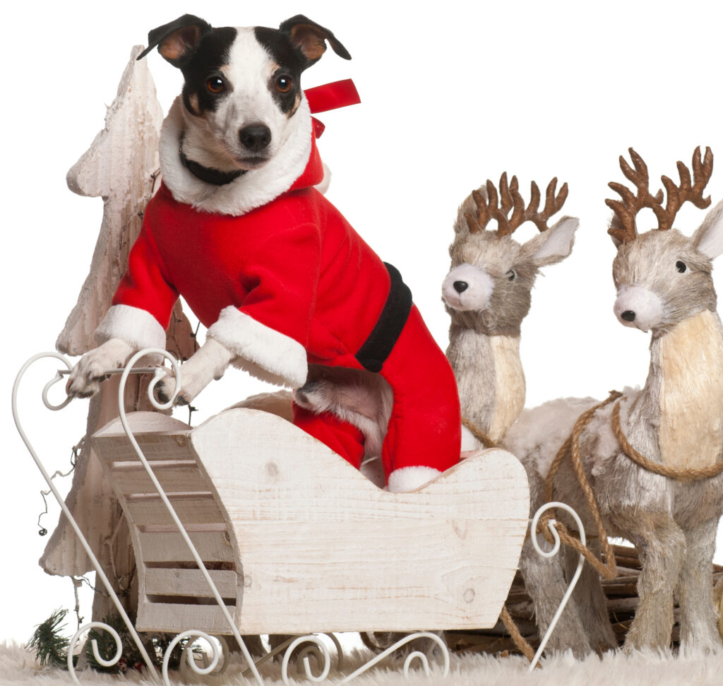 Jasmine's Incredible Christmas Adventure - Santa Paul